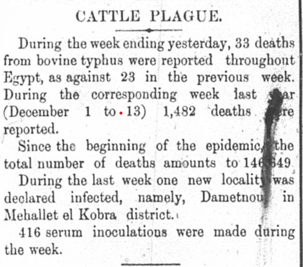 Cattle Plague in Egypt | Digital Egyptian Gazette